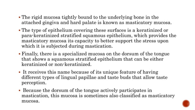 Structure and function of oral mucous membrane.pptx