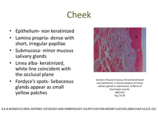 oral mucous membrane - II.pptx