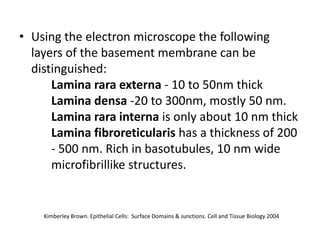 oral mucous membrane - II.pptx