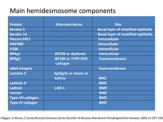 oral mucous membrane - II.pptx
