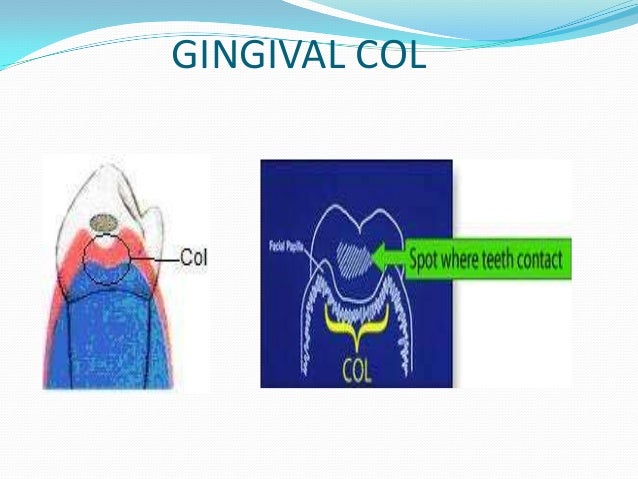 Oral mucous membrane pictorial representation