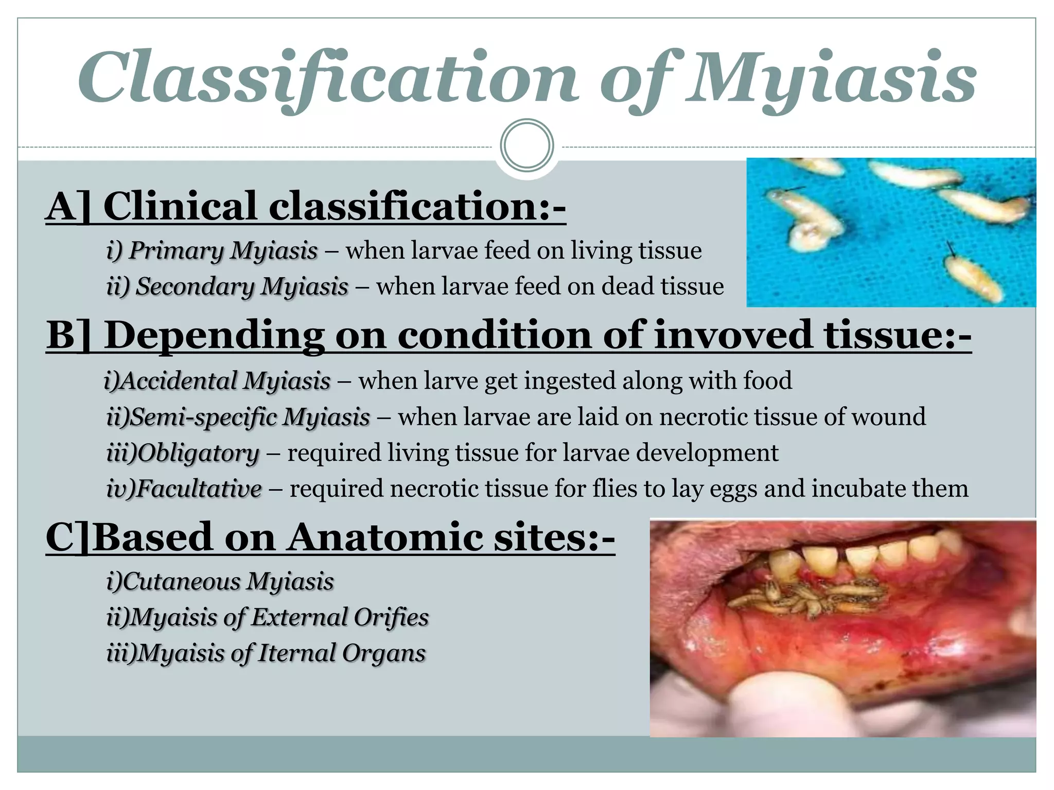 Oral Myiasis | PPTX