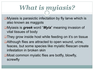 Oral Myiasis | PPTX