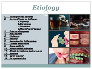 Oral Myiasis | PPTX