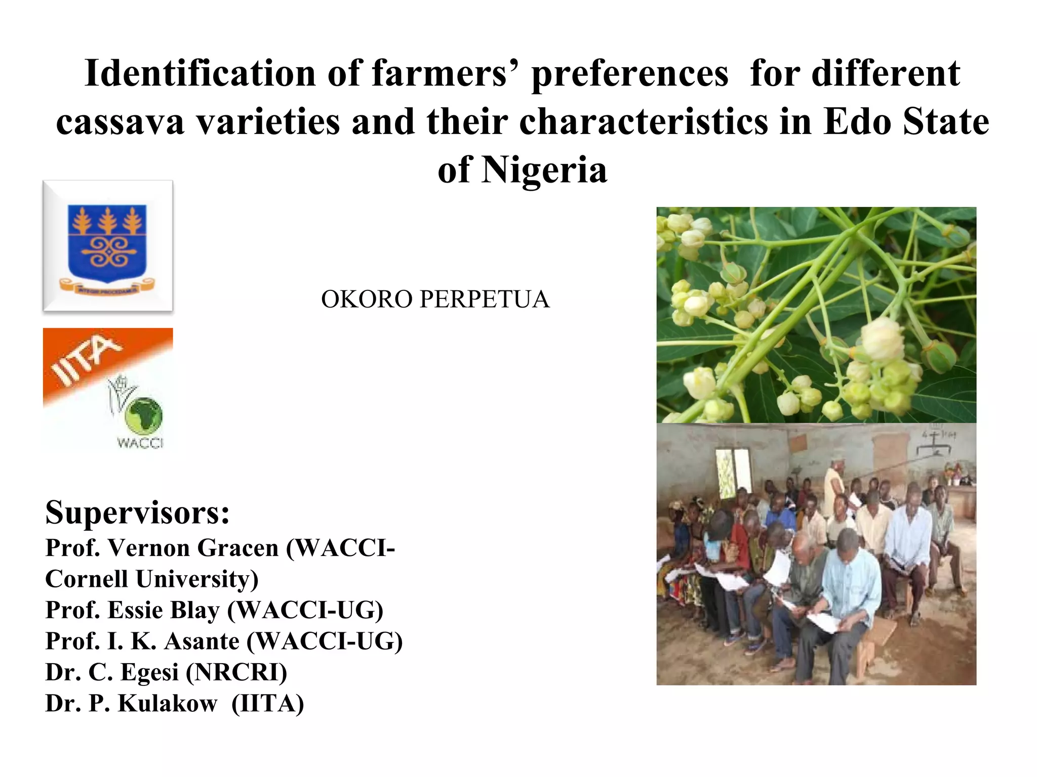Identification of farmers' preferences for different cassava varieties ...