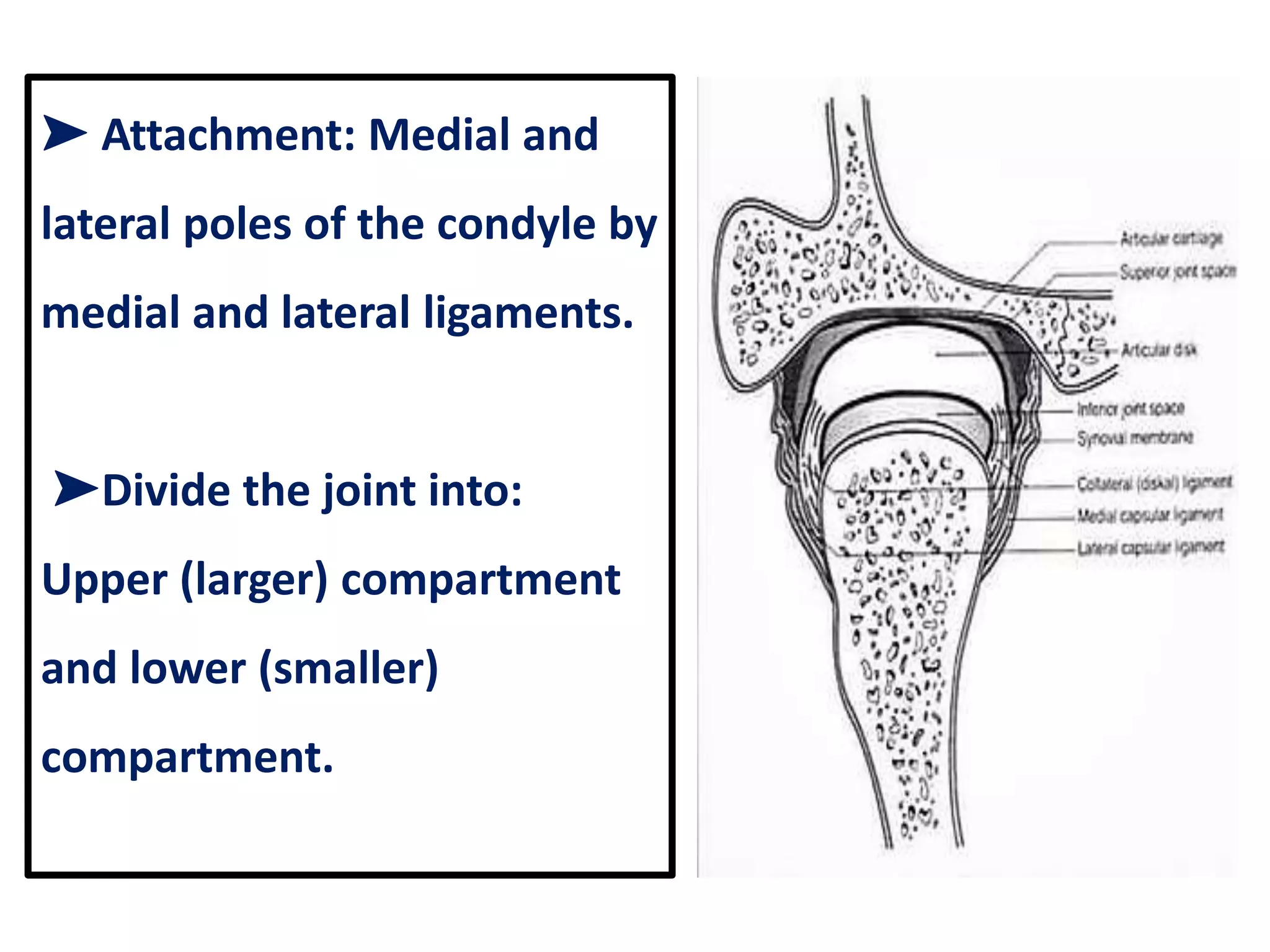 Temporomandibular joint Disorder in oral pathology | PPTX