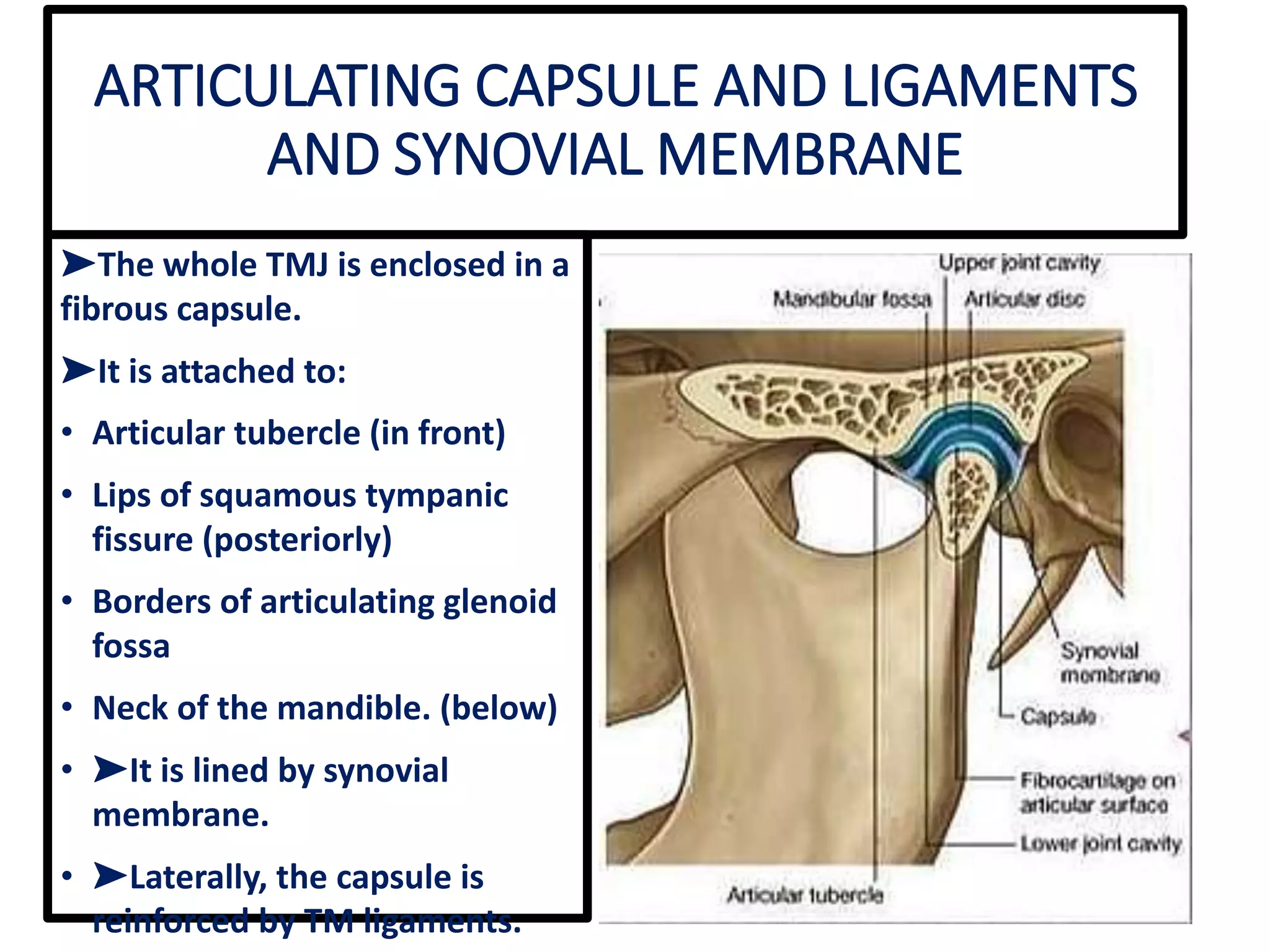 Temporomandibular joint Disorder in oral pathology | PPTX