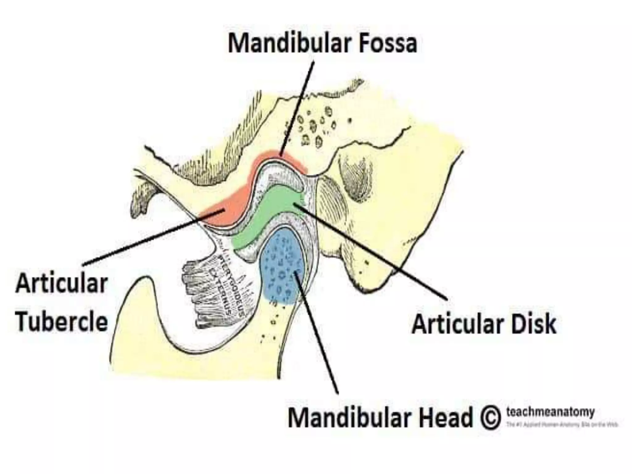 Temporomandibular joint Disorder in oral pathology | PPTX