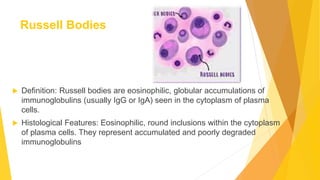 Oral Patho Practical 1.pdf for better understandings | PPT