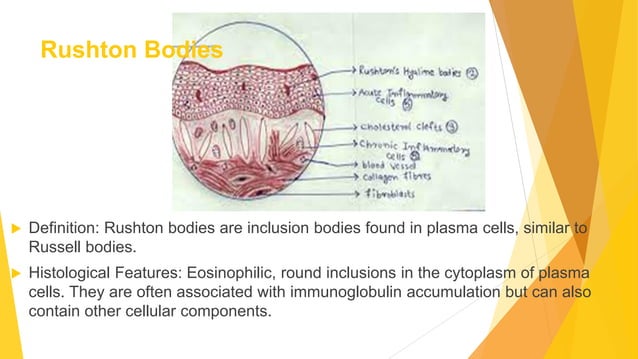 Oral Patho Practical 1.pdf for better understandings | PPT
