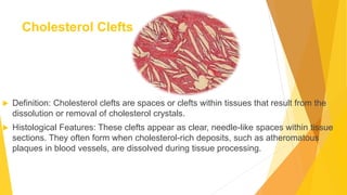 Oral Patho Practical 1.pdf for better understandings | PPT