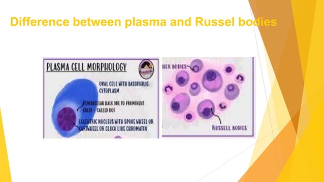 Oral Patho Practical 1.pdf for better understandings | PPT