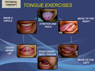 Oral physio final | PPT
