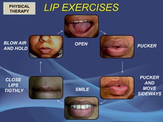 Oral physio final | PPT