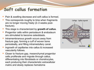 Components of Saliva - An insight to mouth | PPTX