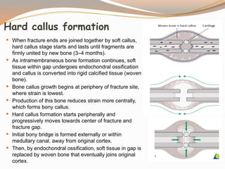 Components of Saliva - An insight to mouth | PPTX