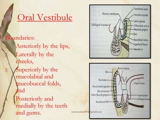 Oral precancerous lesions and anatomy of oral cavity | PPTX