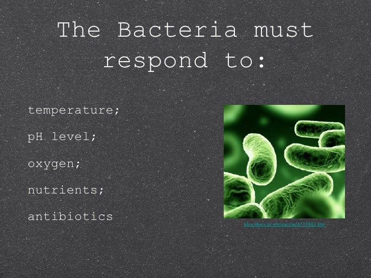 The Bacterial-two component systems