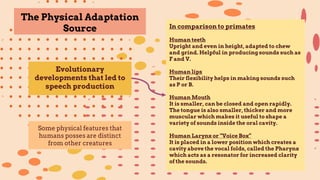 Oral assignment | PPTX