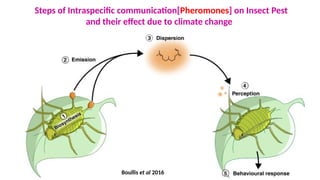 Impact of Climate Change on Pheromone Production and Intensity of ...