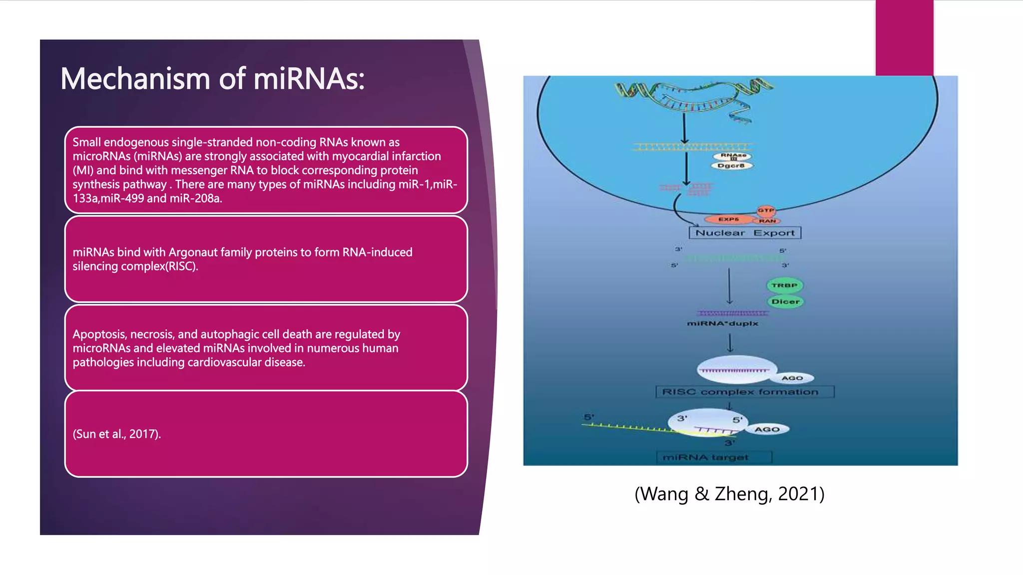 MicroRNA 208 a biomarker of MI.pptx