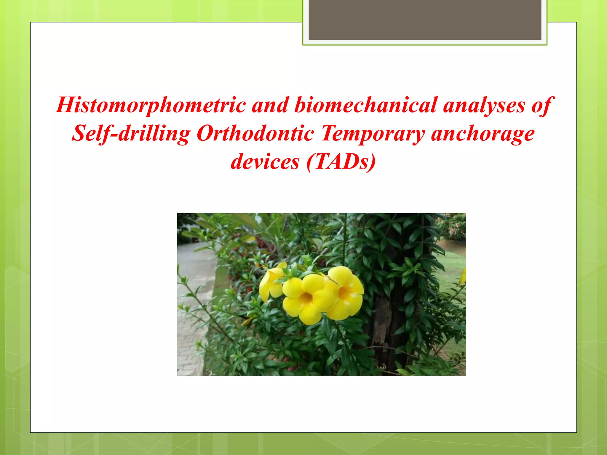 Histomorphometric and biomechanical analyses of Self-drilling ...