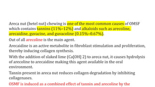 Oral submucous fibrosis basics seminar ppt | PPTX