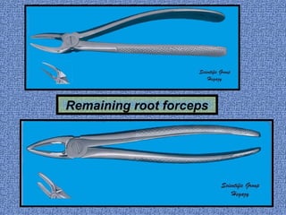 Oral surgery instruments | PPT
