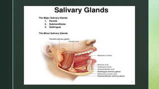 salivary glands tumors | PPTX