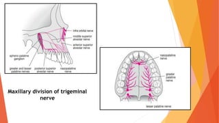 oral surgery - techniques of local anesthesia powerpoint | PPTX