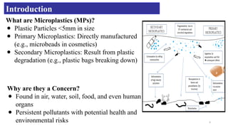 Microplastics impacts on humans presentation | PPTX
