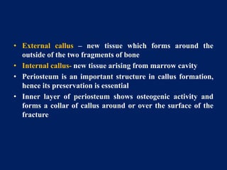 healing of oral wounds | PPTX