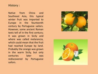 Orange | PPTX