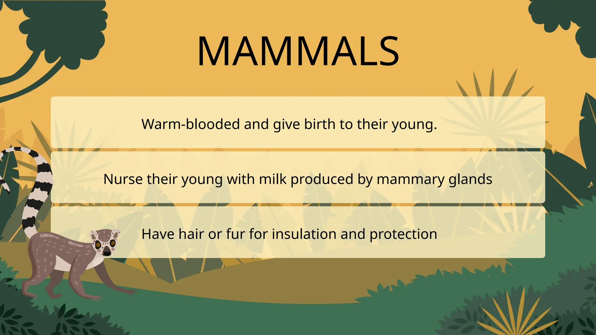 Orange Bold Science Classifying Animals Presentation.pptx