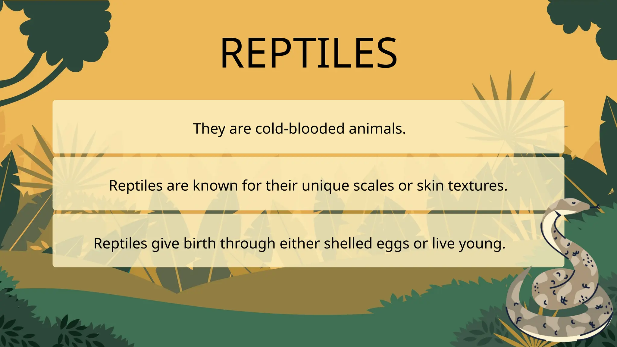 Orange Bold Science Classifying Animals Presentation.pptx