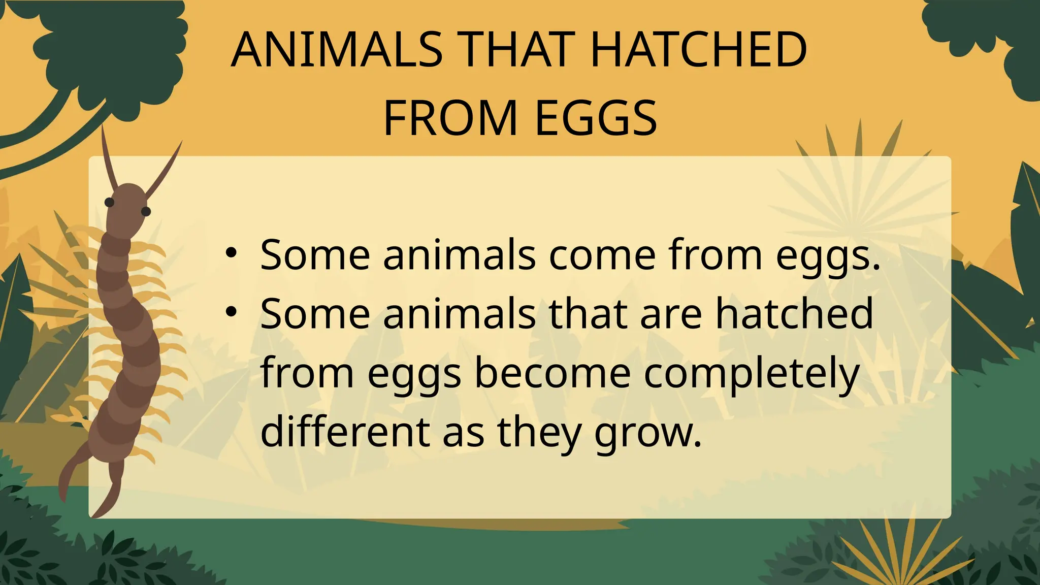Orange Bold Science Classifying Animals Presentation.pptx