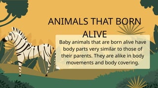 Orange Bold Science Classifying Animals Presentation.pptx