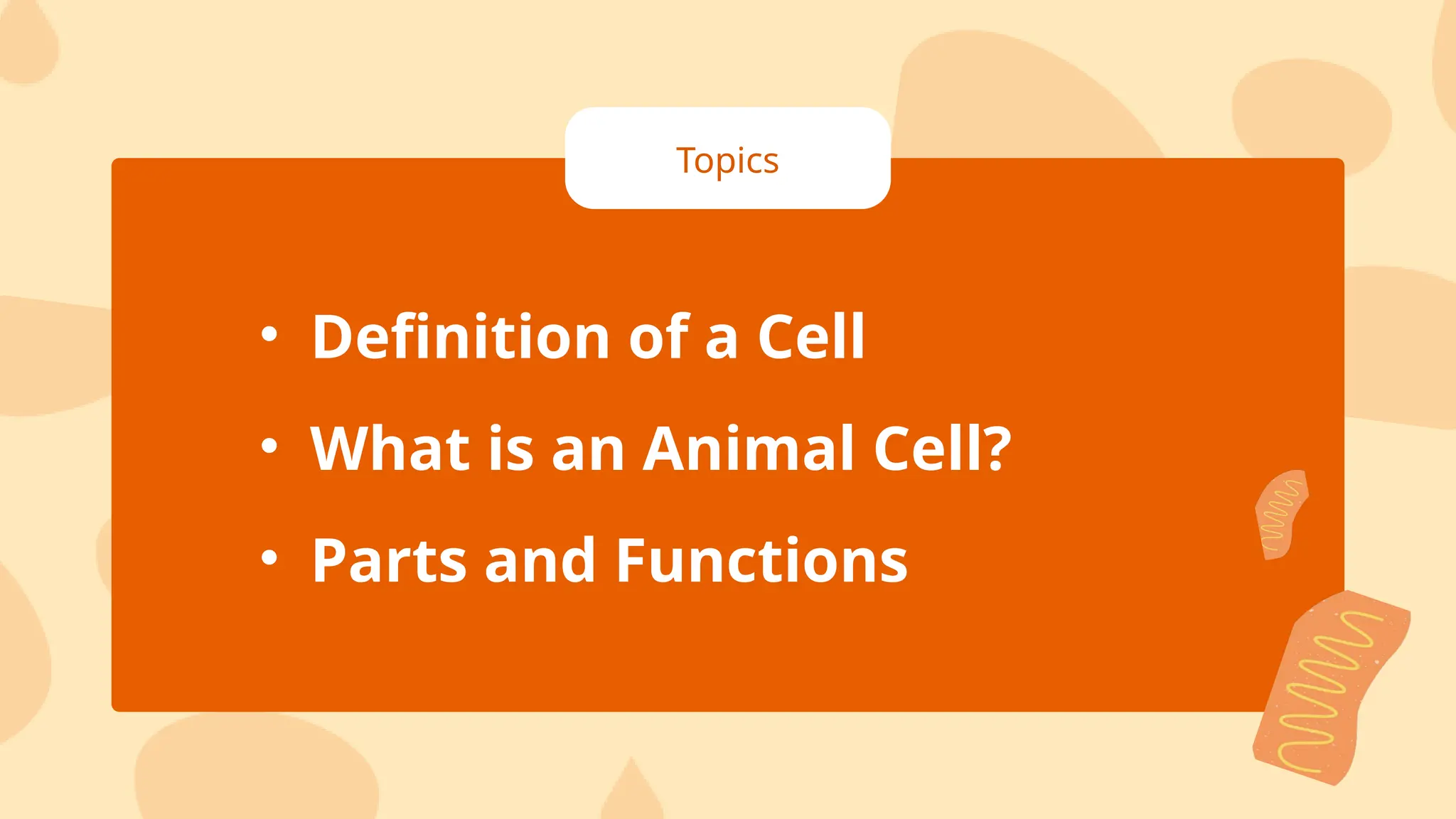 Orange Illustrative Animal Cell Presentation.pptx