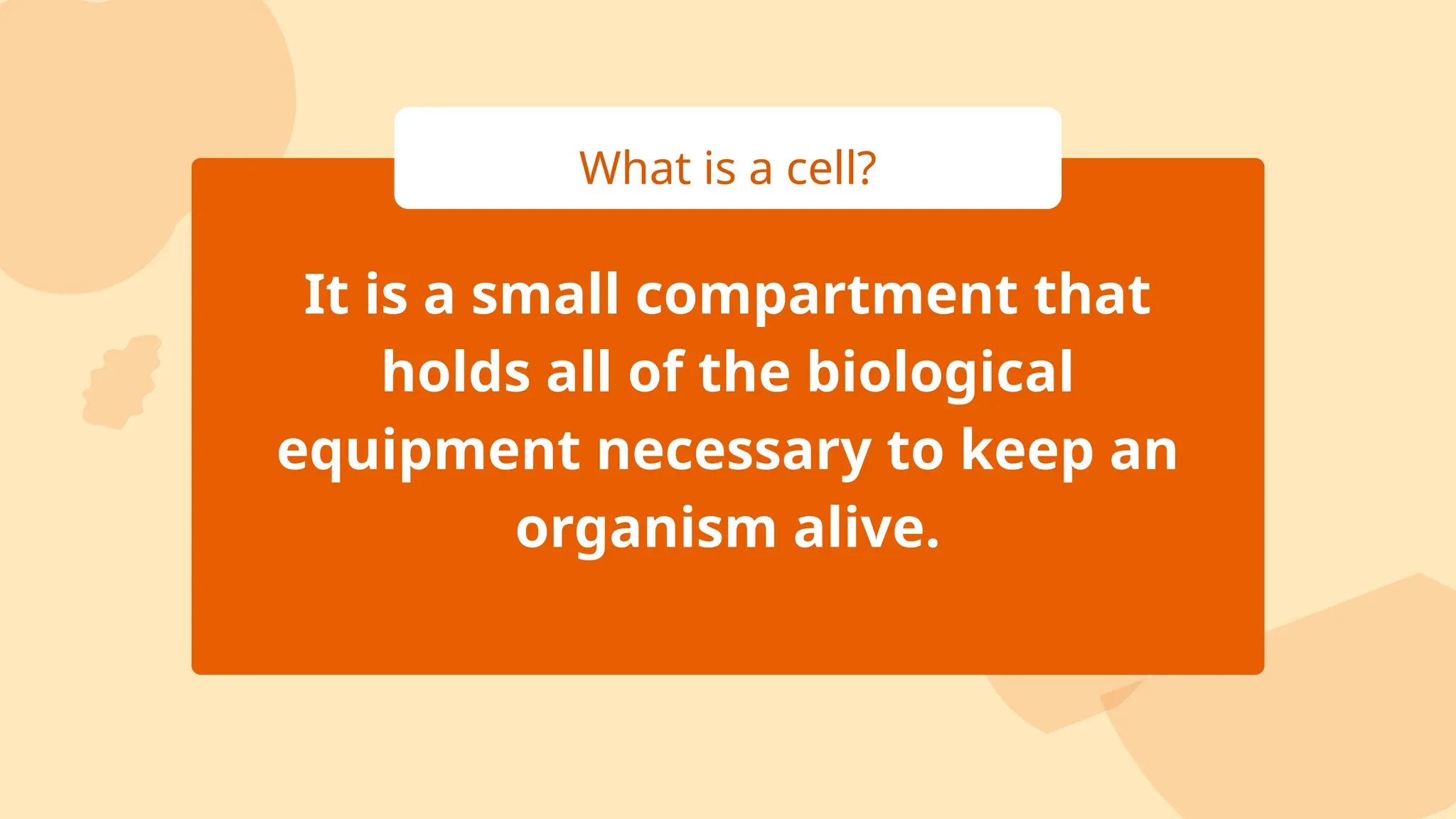 Orange Illustrative Animal Cell Presentation.pptx