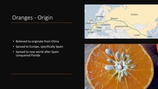 Oranges.pptx