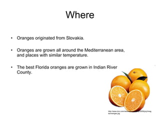 Oranges | PPT