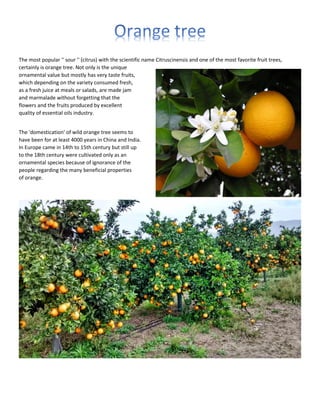 Orange tree | PDF