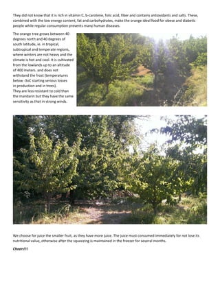 Orange tree | PDF