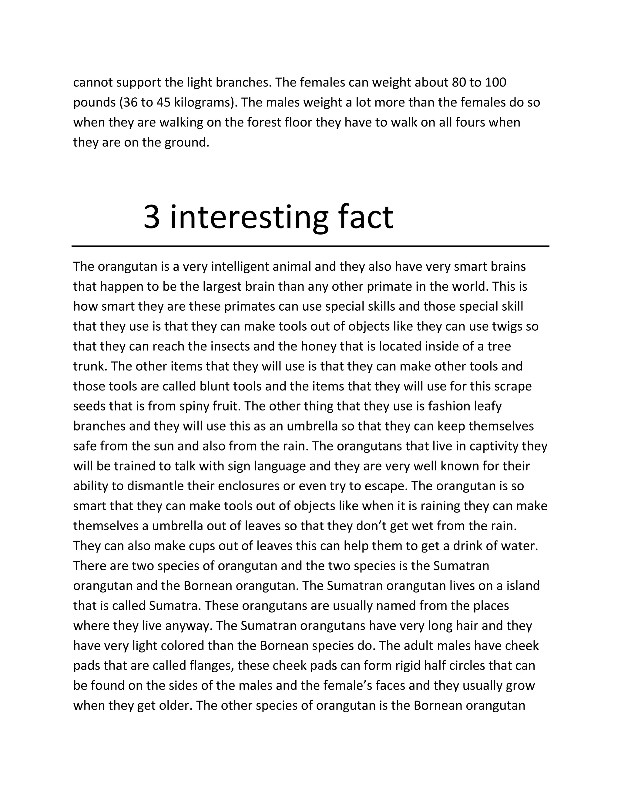 orangutan book | DOCX