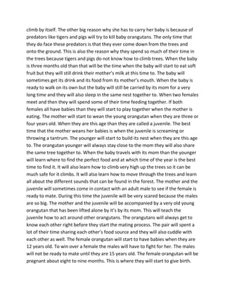 orangutan book | DOCX