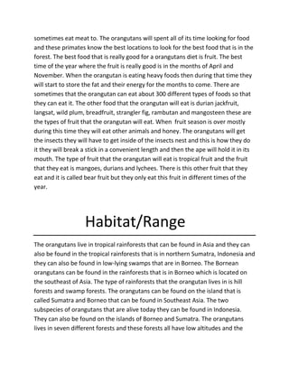 orangutan book | DOCX