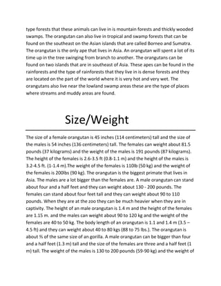orangutan book | DOCX