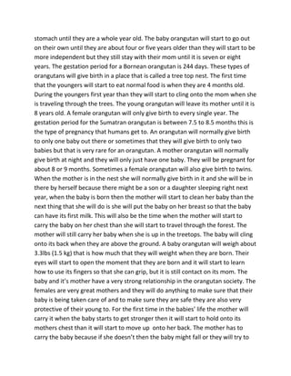 orangutan book | DOCX | Asia Travel | Travel Locations