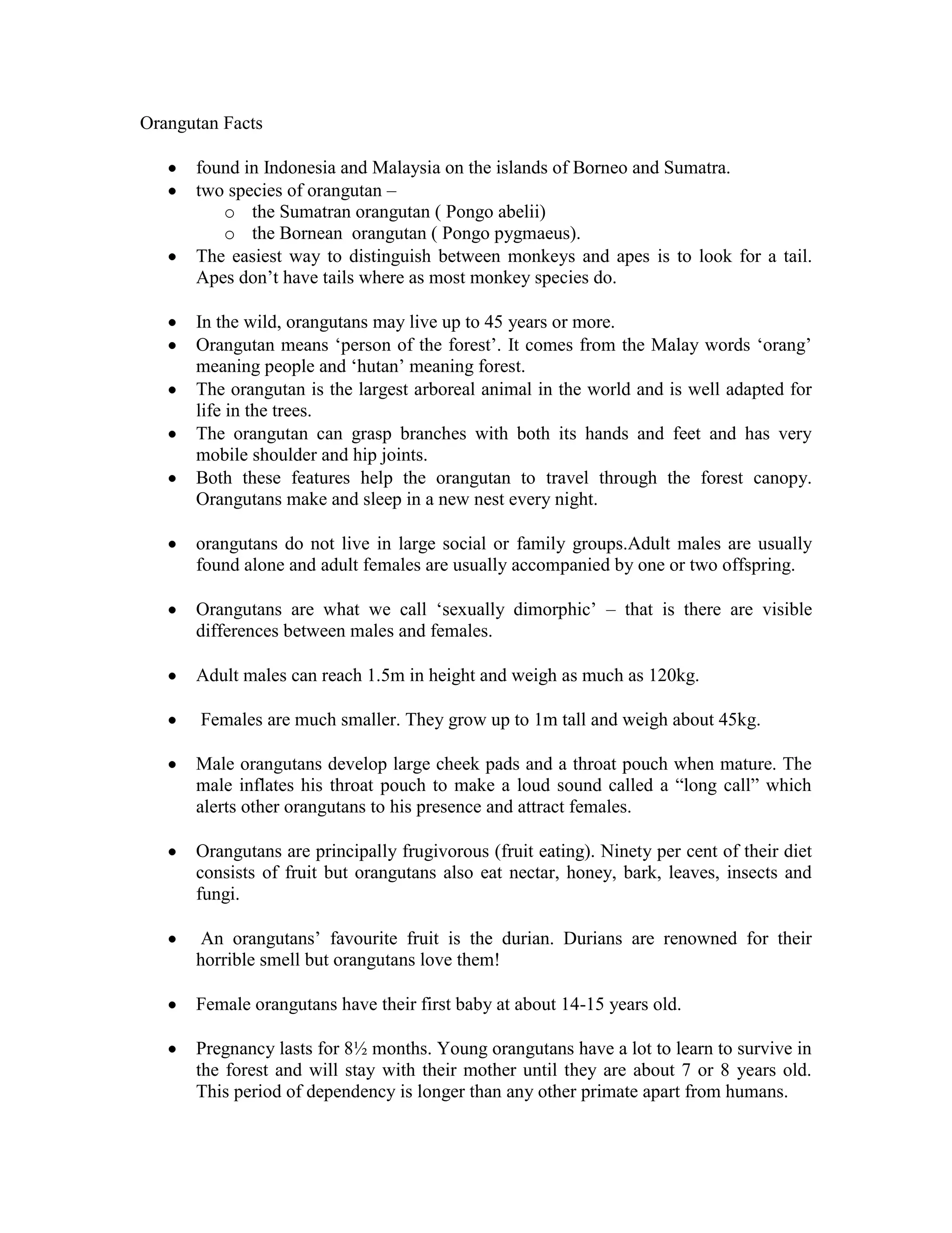 Orangutan facts | DOC