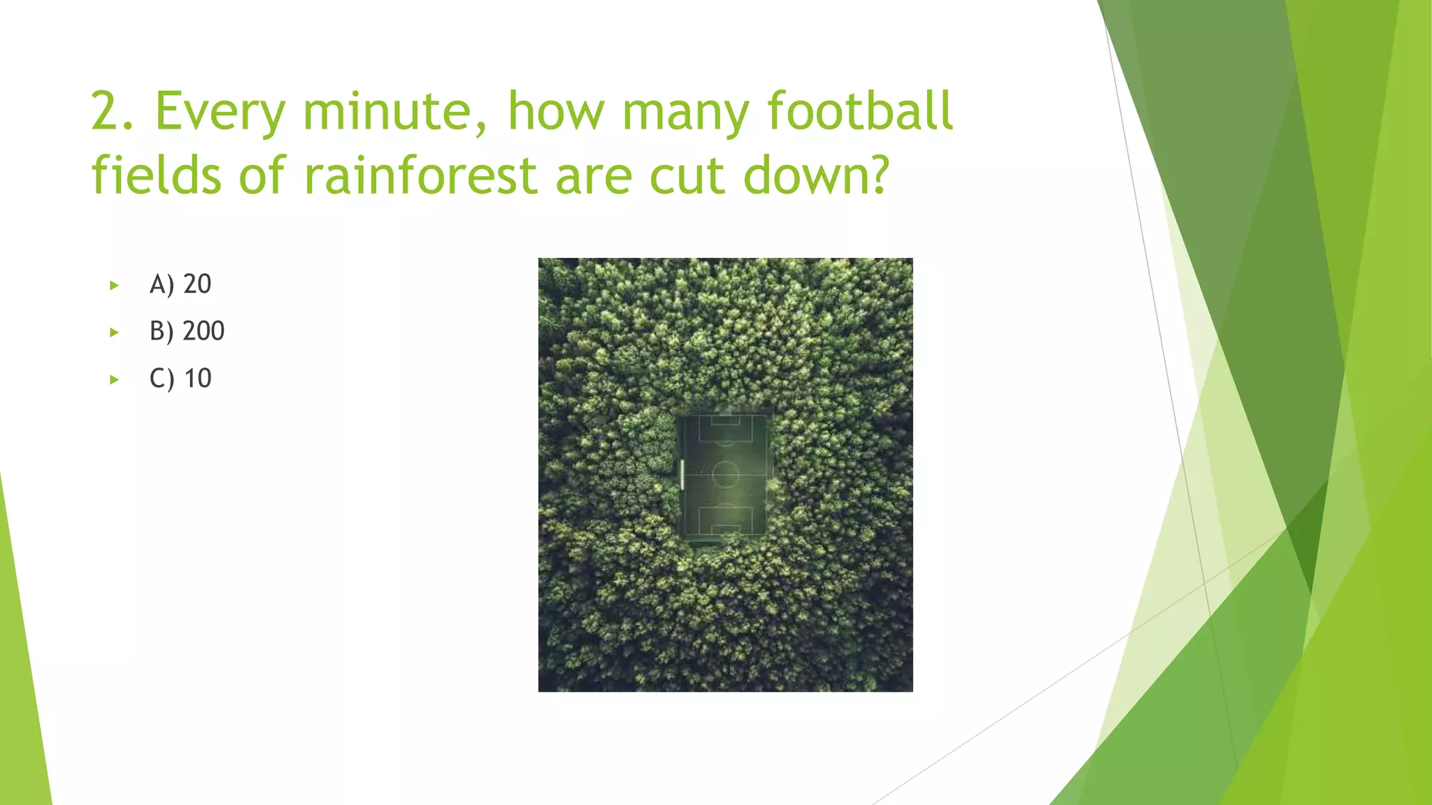 Orangutan quiz! | PPT